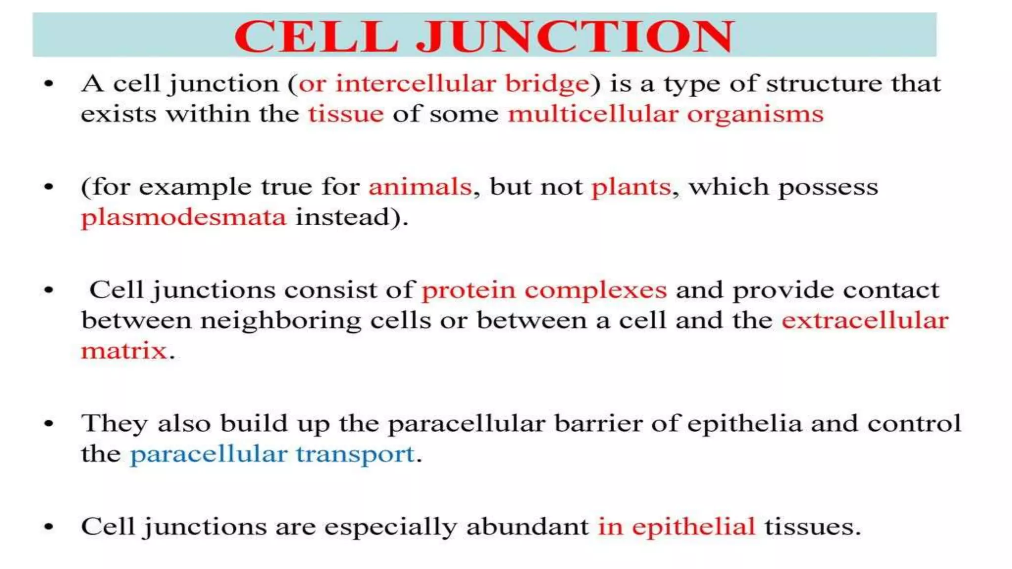 Cell cell interactions | PPTX