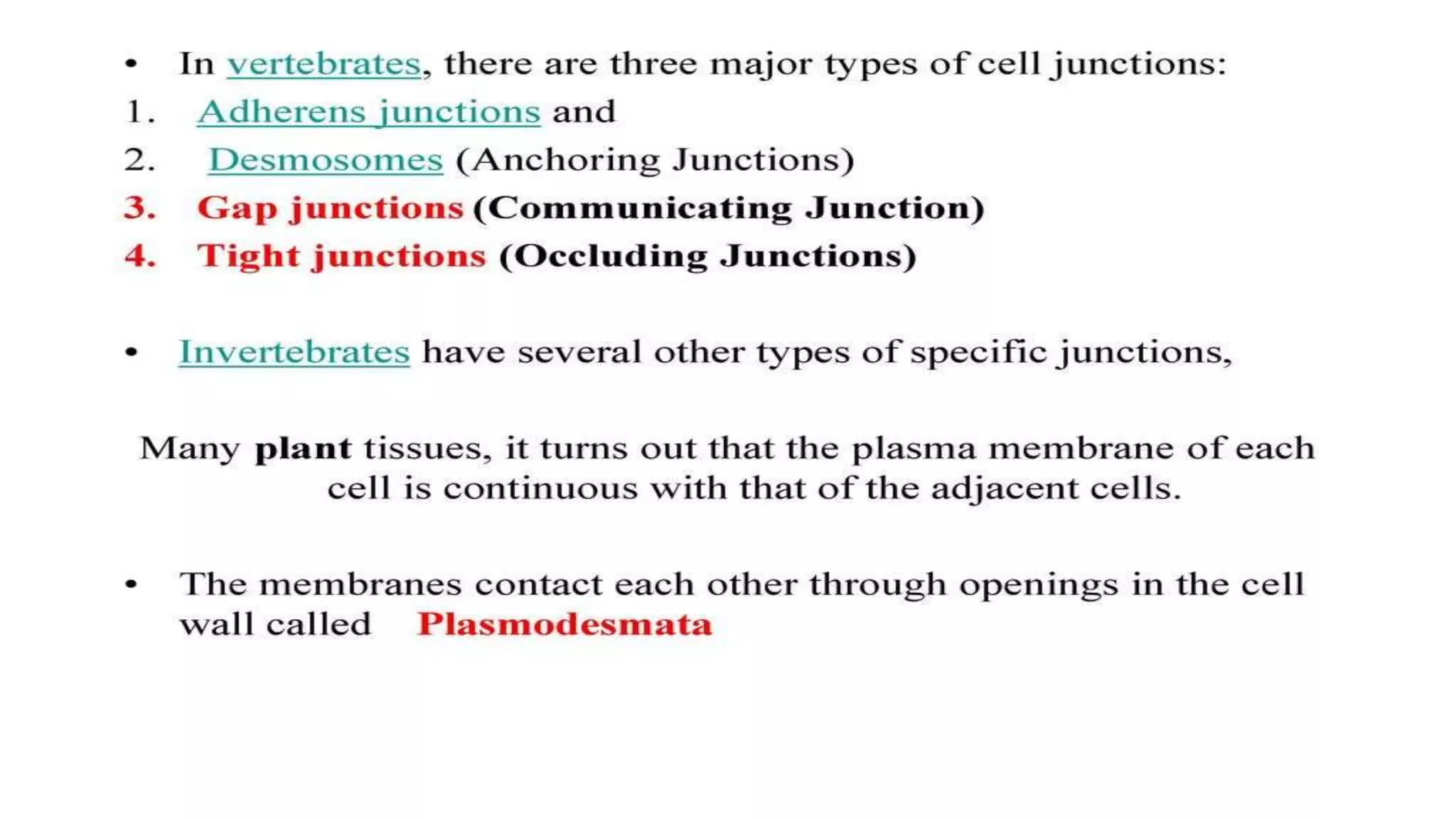 Cell cell interactions | PPTX