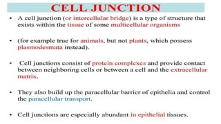 Cell cell interactions | PPTX