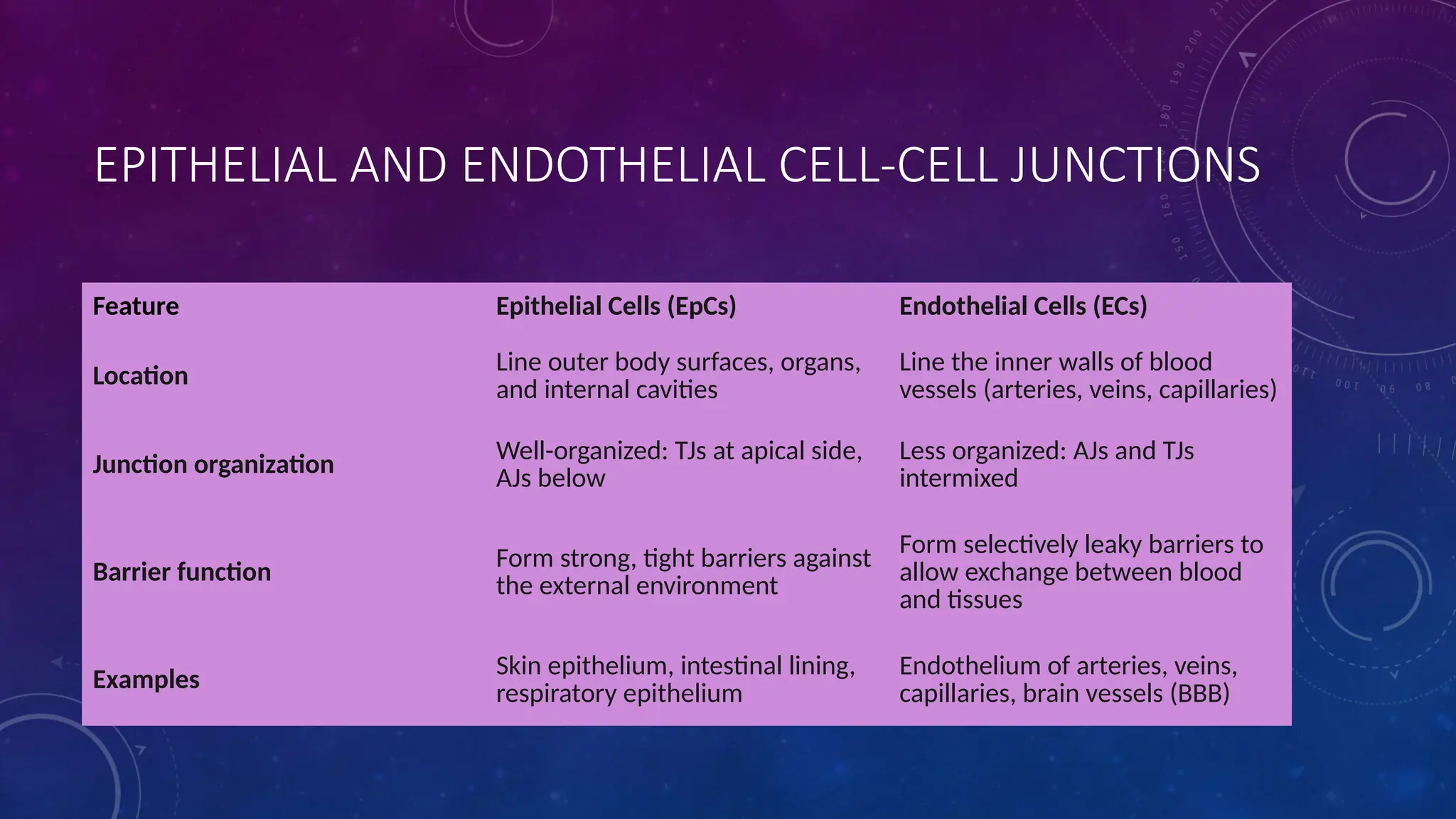 CELL-CELL JUNCTIONS: STRUCTURE AND REGULATION IN PHYSIOLOGY AND ...