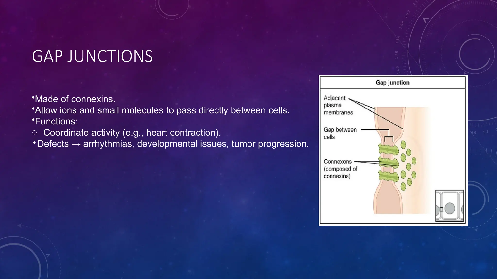 CELL-CELL JUNCTIONS: STRUCTURE AND REGULATION IN PHYSIOLOGY AND PATHOLOGY.pptx