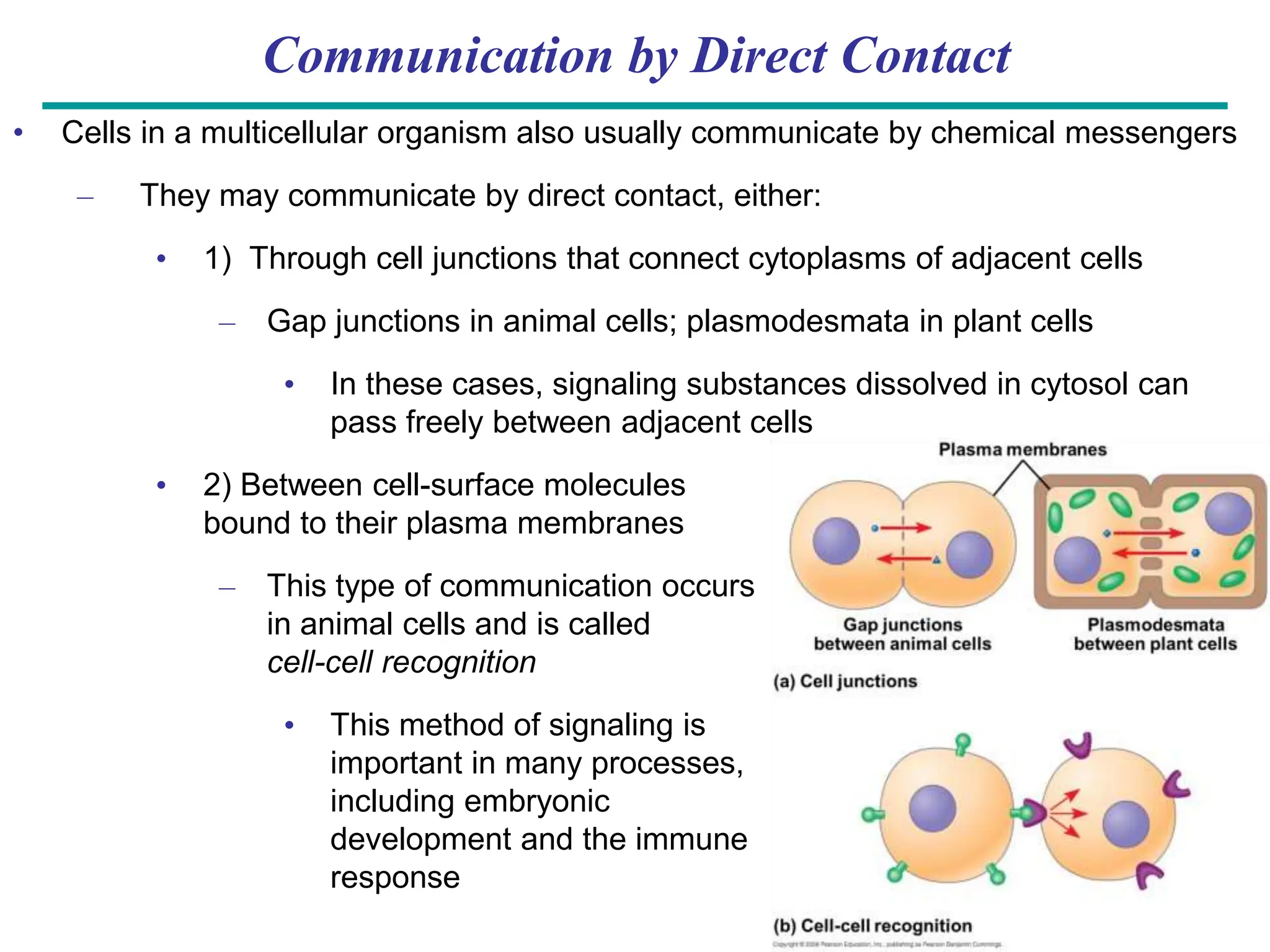Cell-Communication and the types of cell communications | PDF