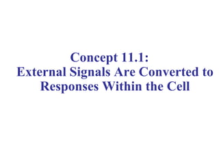 Cell-Communication and the types of cell communications | PDF
