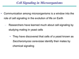 Cell-Communication and the types of cell communications | PDF
