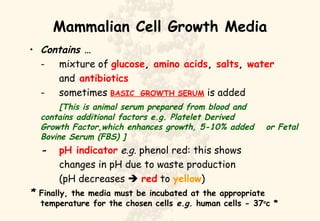 Cell Culture | PPT