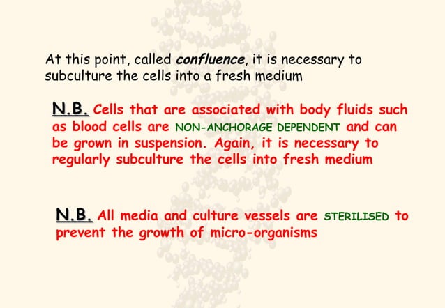 Cell Culture | PPT