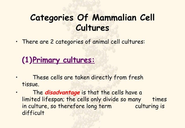 Cell Culture | PPT