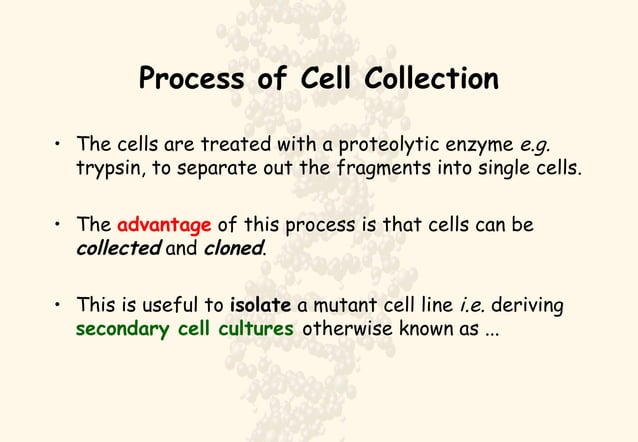 Cell Culture | PPT