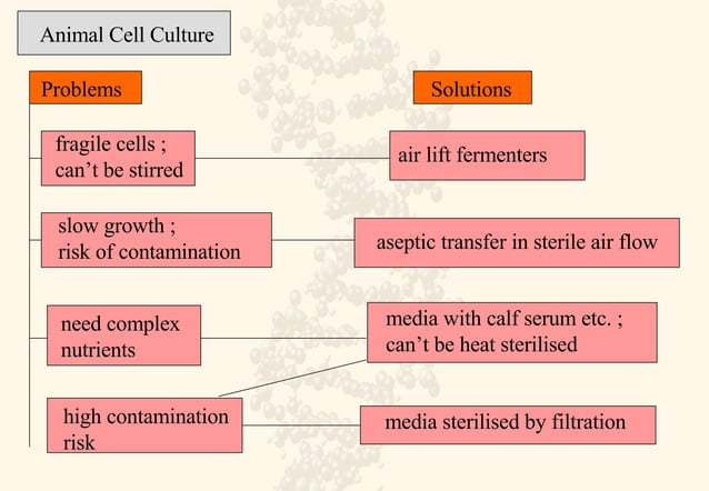 Cell Culture | PPT