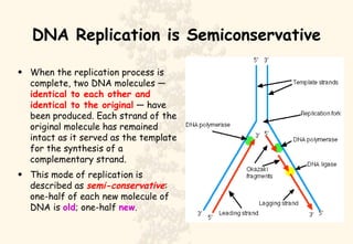 Cell Cycle | PPT
