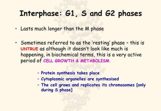 Cell Cycle | PPT | Biological Sciences | Science
