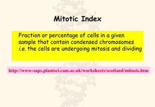Cell Cycle | PPT | Biological Sciences | Science