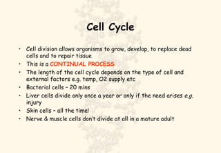 Cell Cycle | PPT