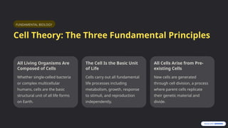 Cell-Cycle-and-Cell-Theory-The-Foundation-of-Life.pptx