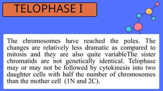 CELL-CYCLE-AND-ITS-REGULATION- PPT Module-8 | PPTX