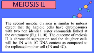 CELL-CYCLE-AND-ITS-REGULATION- PPT Module-8 | PPTX
