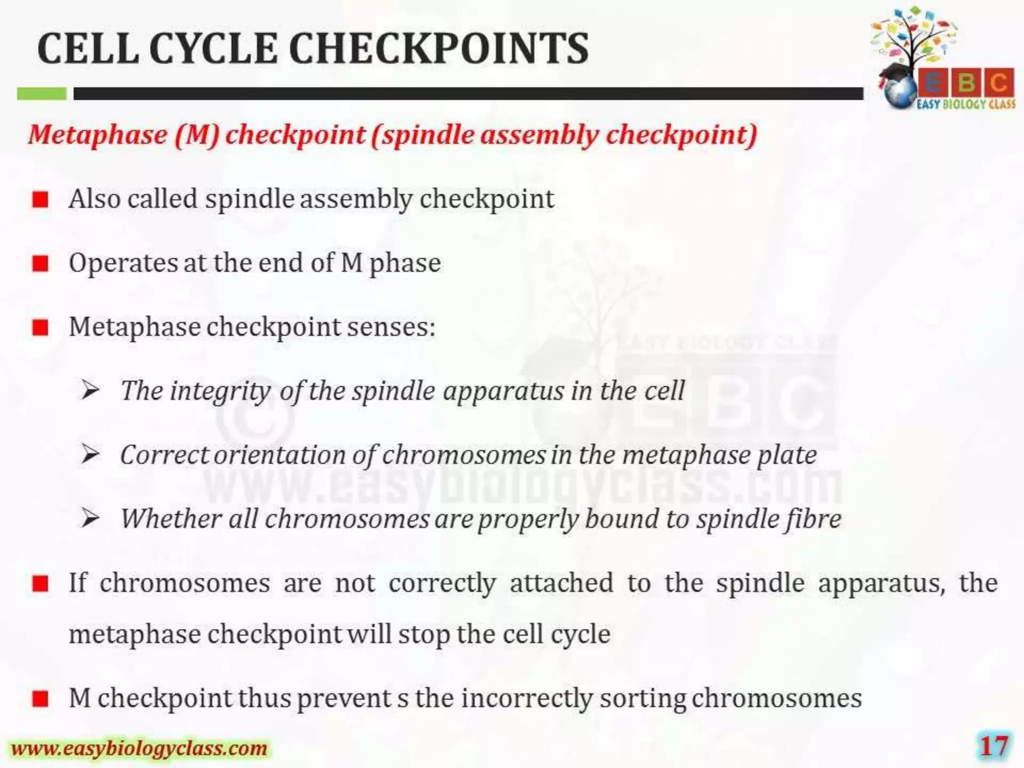 Cell-Cycle-Checkpoints-PPT-by-Easybiologyclass.pptx