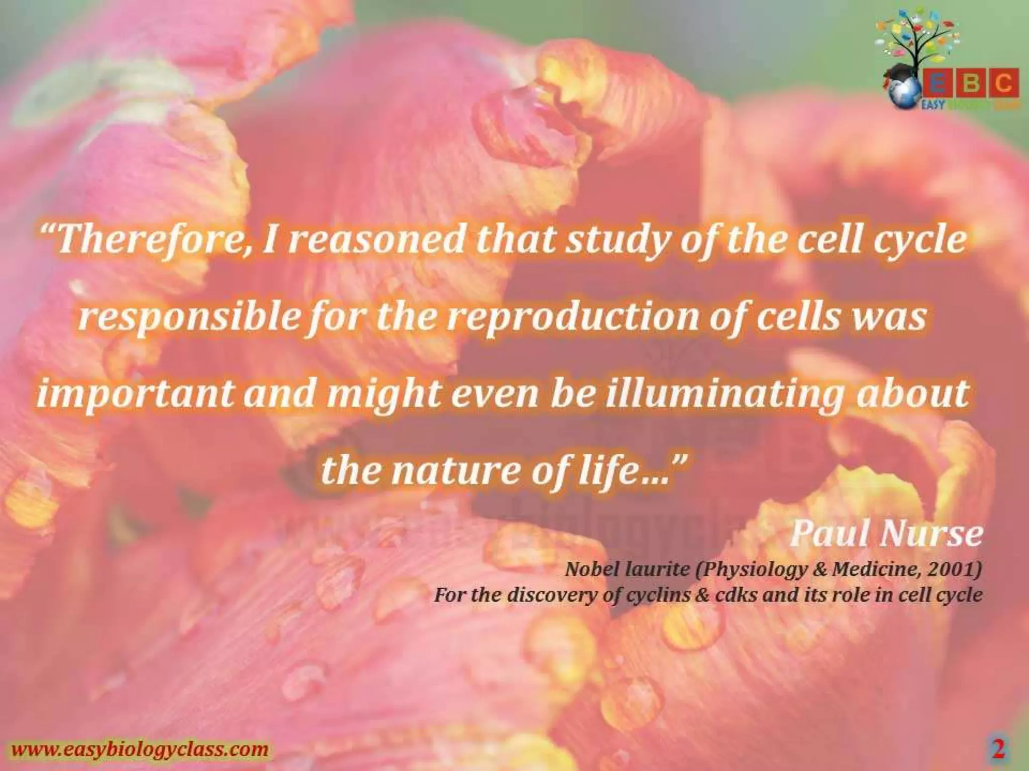 Cell-Cycle-Checkpoints-PPT-by-Easybiologyclass.pptx
