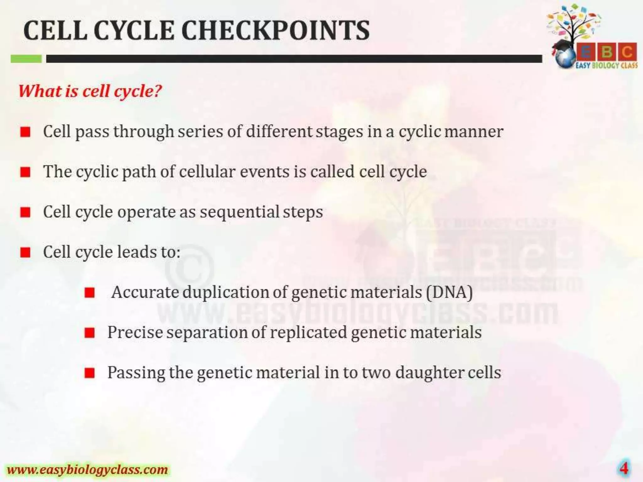 Cell-Cycle-Checkpoints-PPT-by-Easybiologyclass.pptx