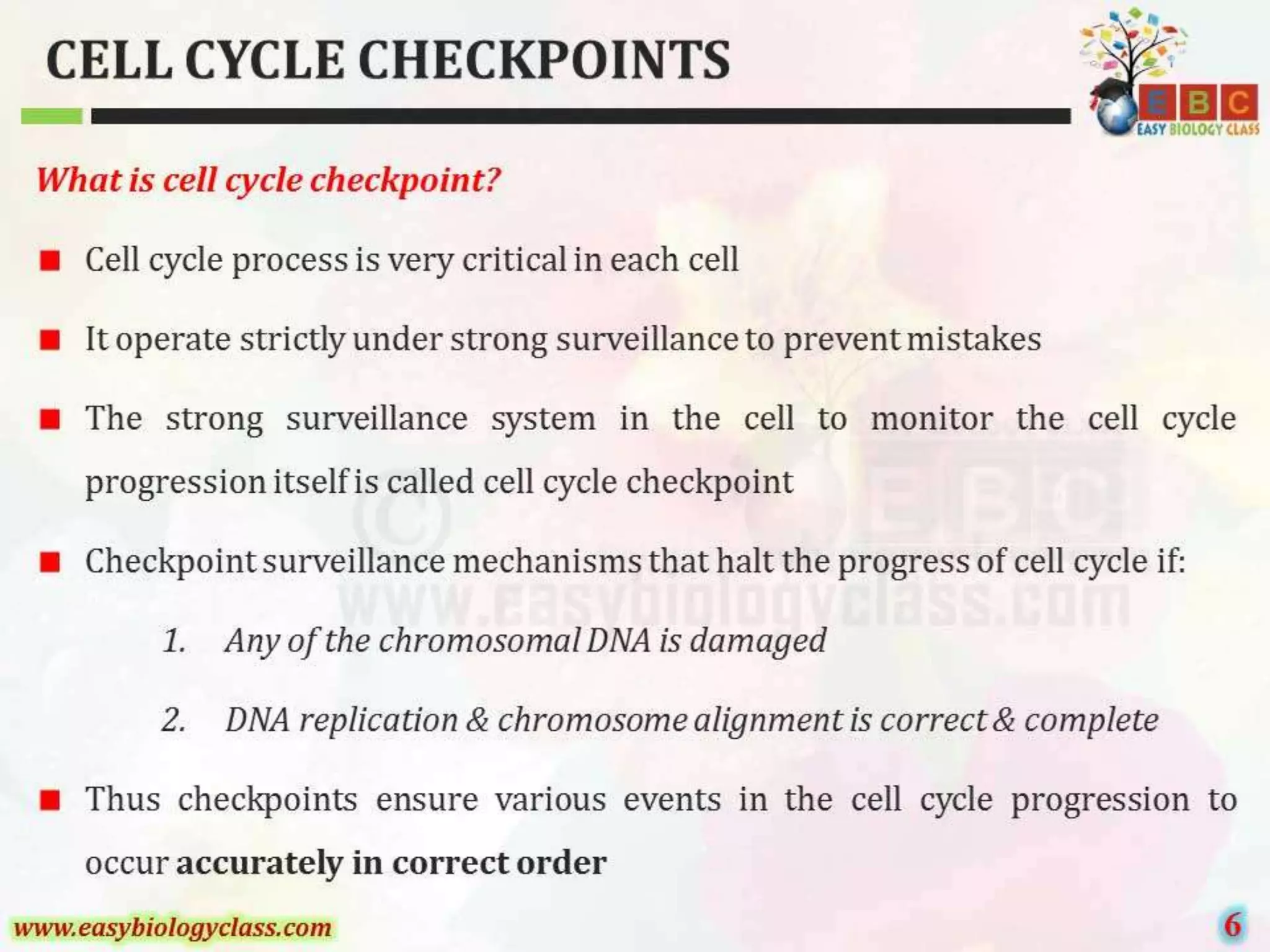 Cell-Cycle-Checkpoints-PPT-by-Easybiologyclass.pptx | Biological Sciences | Science