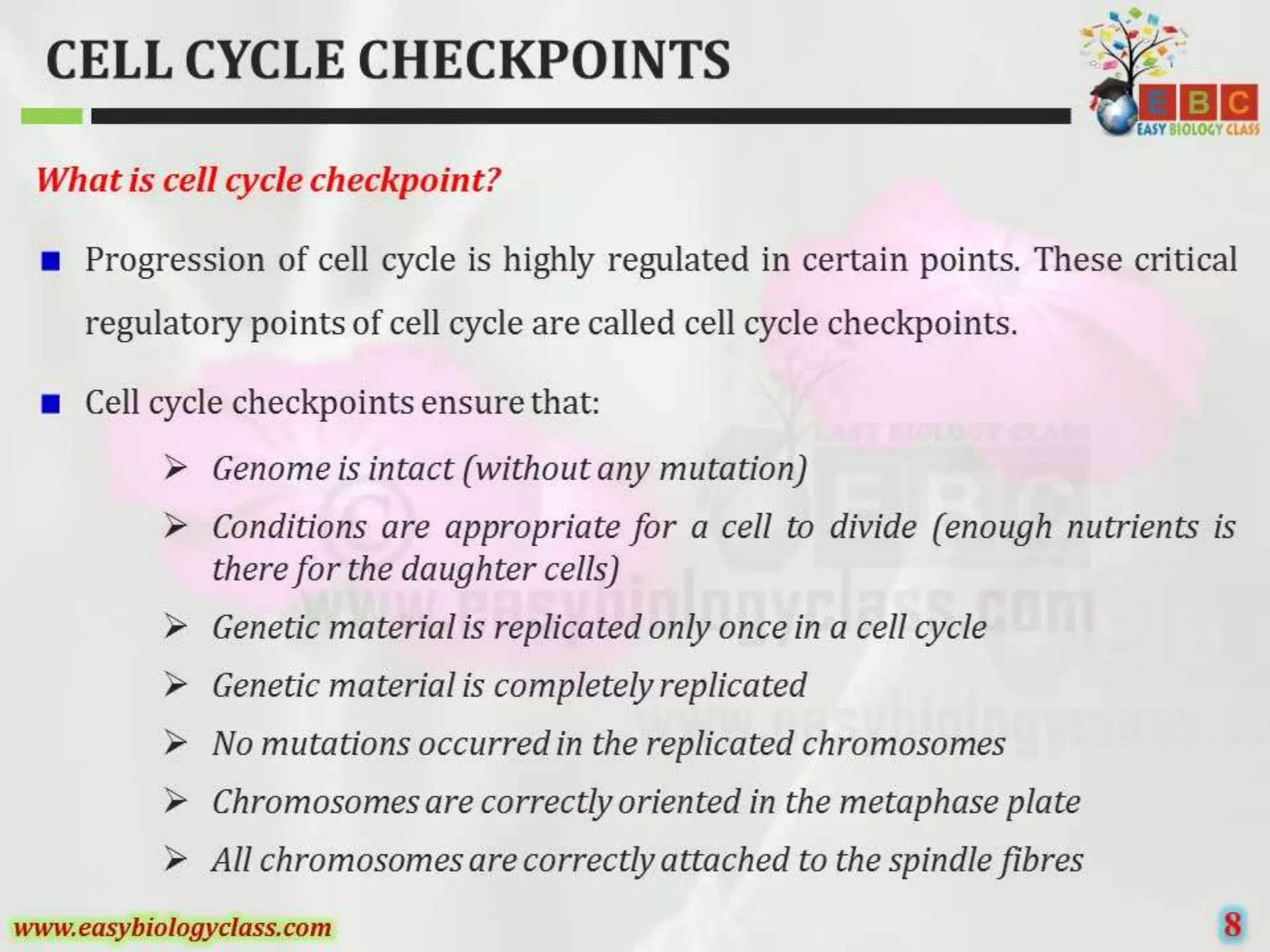 Cell-Cycle-Checkpoints-PPT-by-Easybiologyclass.pptx