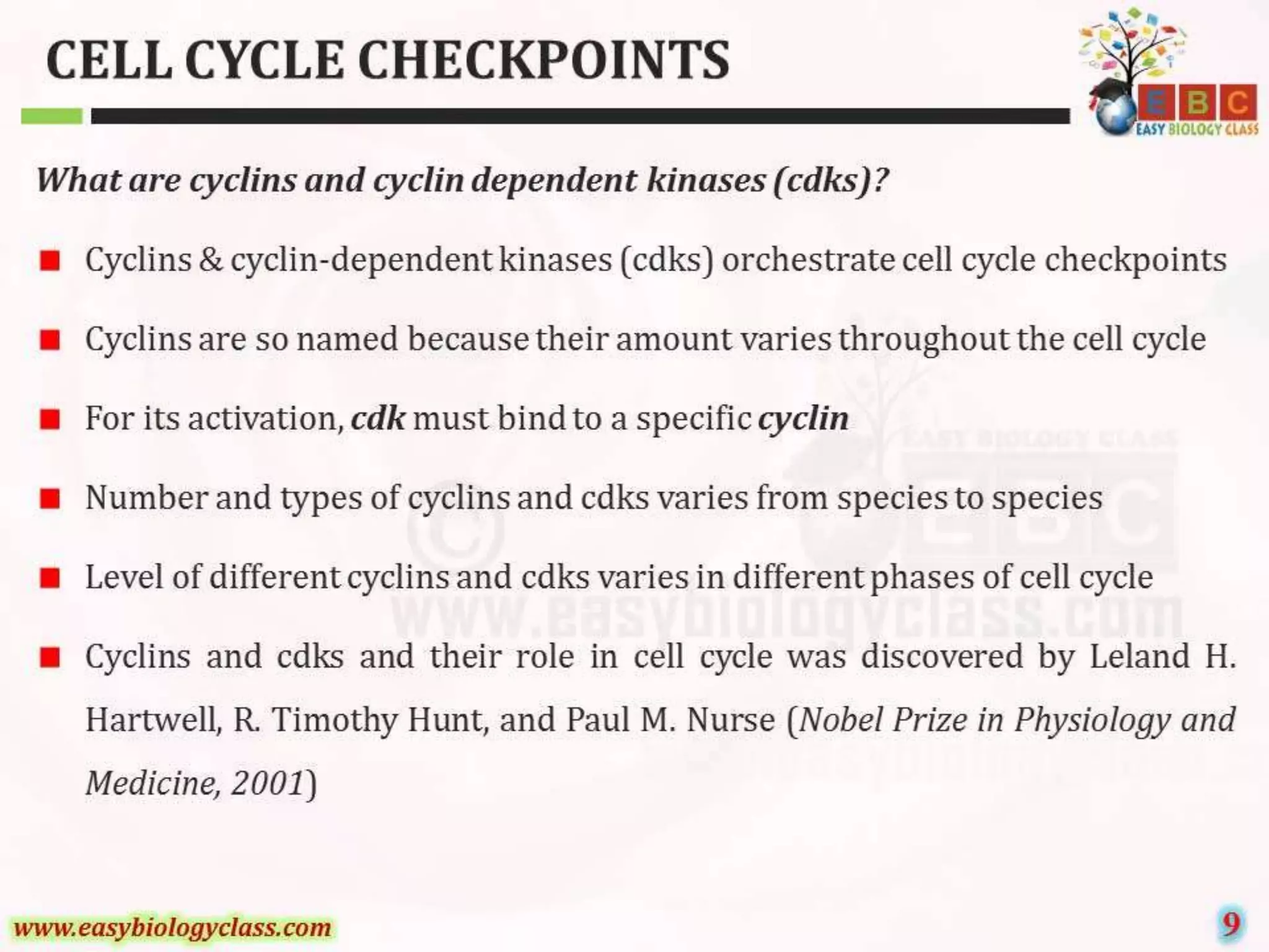 Cell-Cycle-Checkpoints-PPT-by-Easybiologyclass.pptx