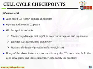 Cell-Cycle-Checkpoints-PPT-by-Easybiologyclass.pptx