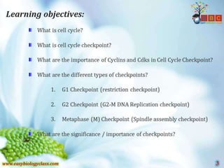 Cell-Cycle-Checkpoints-PPT-by-Easybiologyclass.pptx