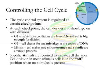 Cell Cycle, Dna, And Protein Synthesis Notes New | PPT