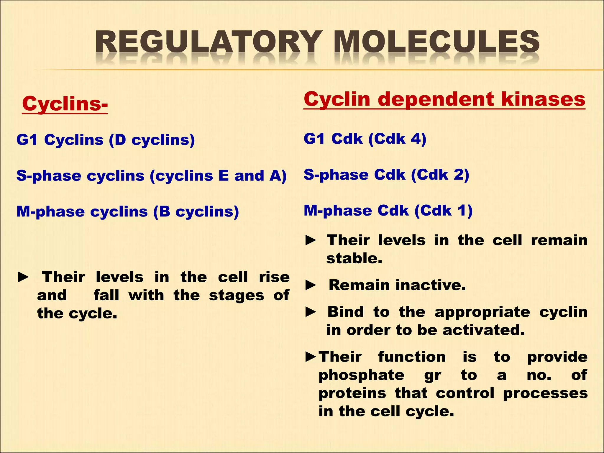 Cell-cycle-its-regulation.pdf