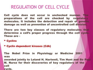 Cell-cycle-its-regulation and Check points.pptx