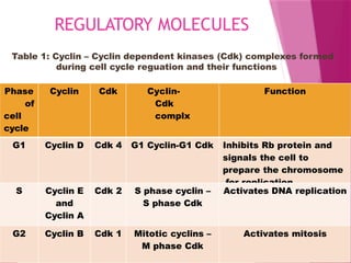 Cell-cycle-its-regulation and Check points.pptx