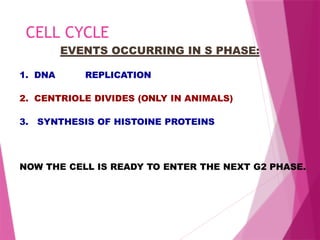 Cell-cycle-its-regulation and Check points.pptx