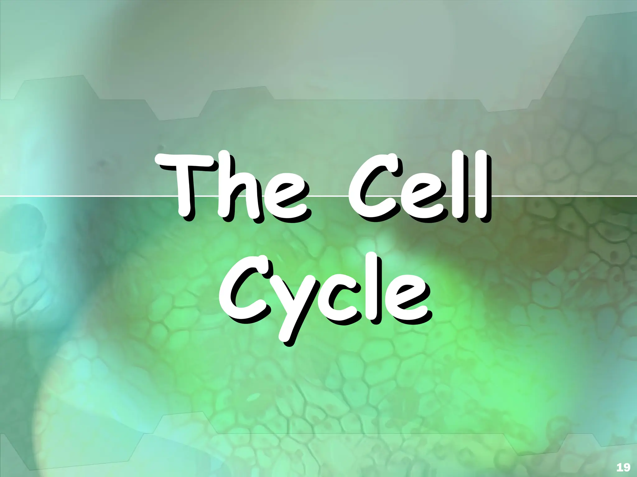 cell-cycle-mitosis-meiosis and its application | PPT