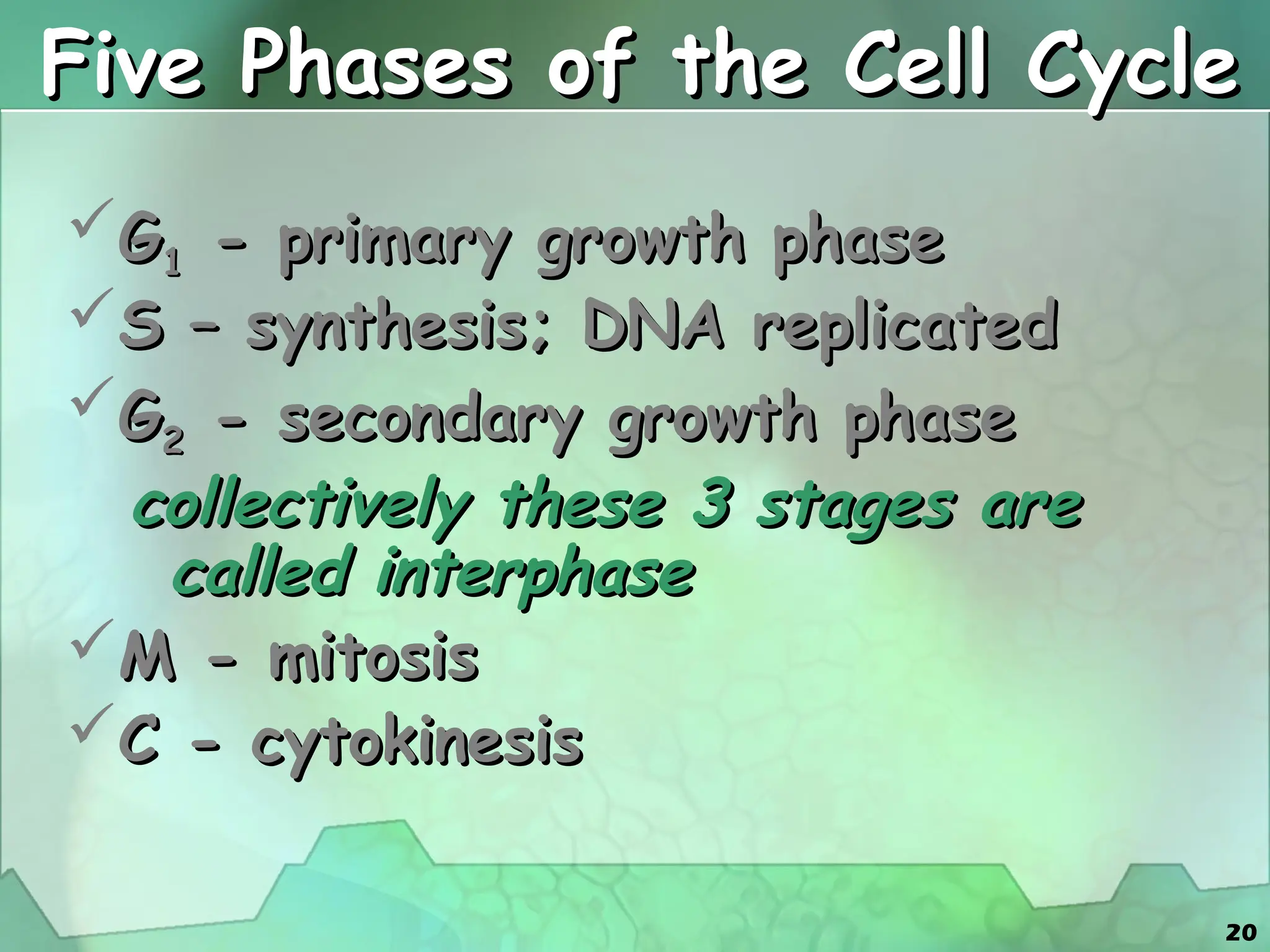 cell-cycle-mitosis-meiosis and its application | PPT