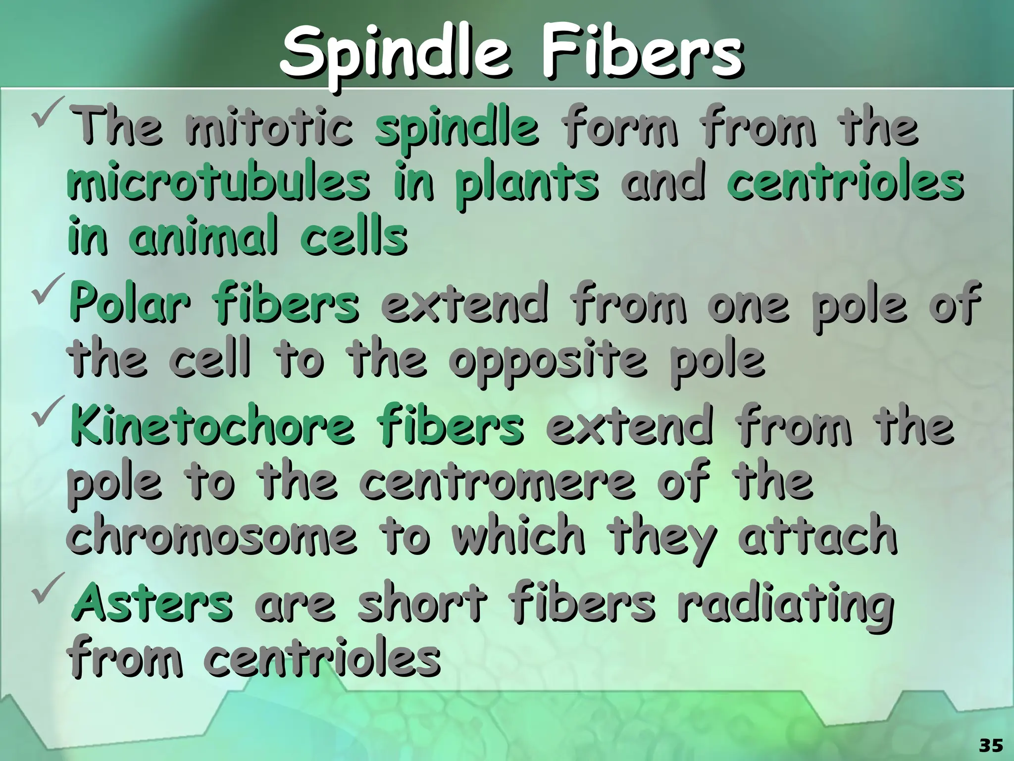 cell-cycle-mitosis-meiosis and its application | PPT