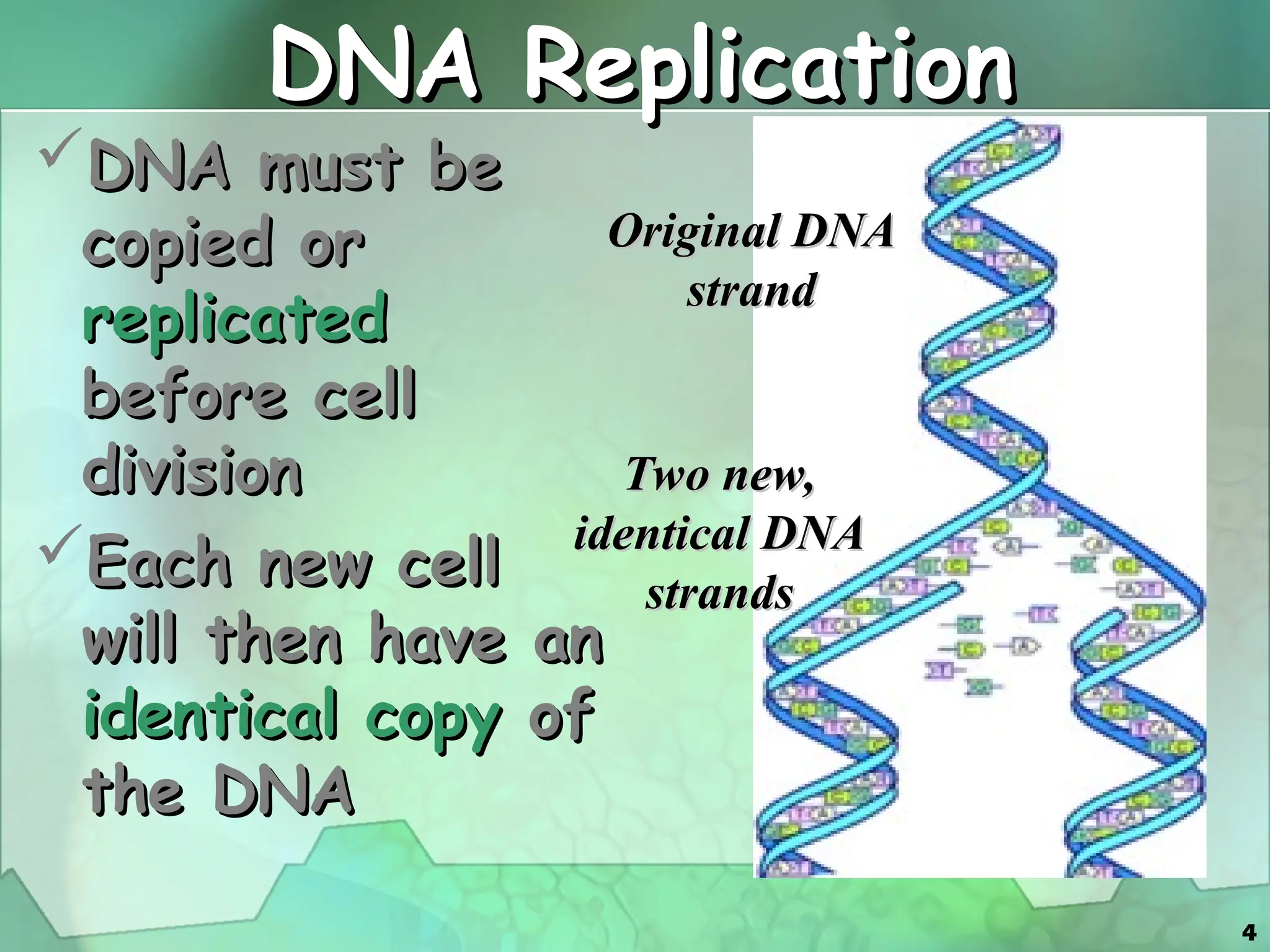 cell-cycle-mitosis-meiosis and its application | PPT