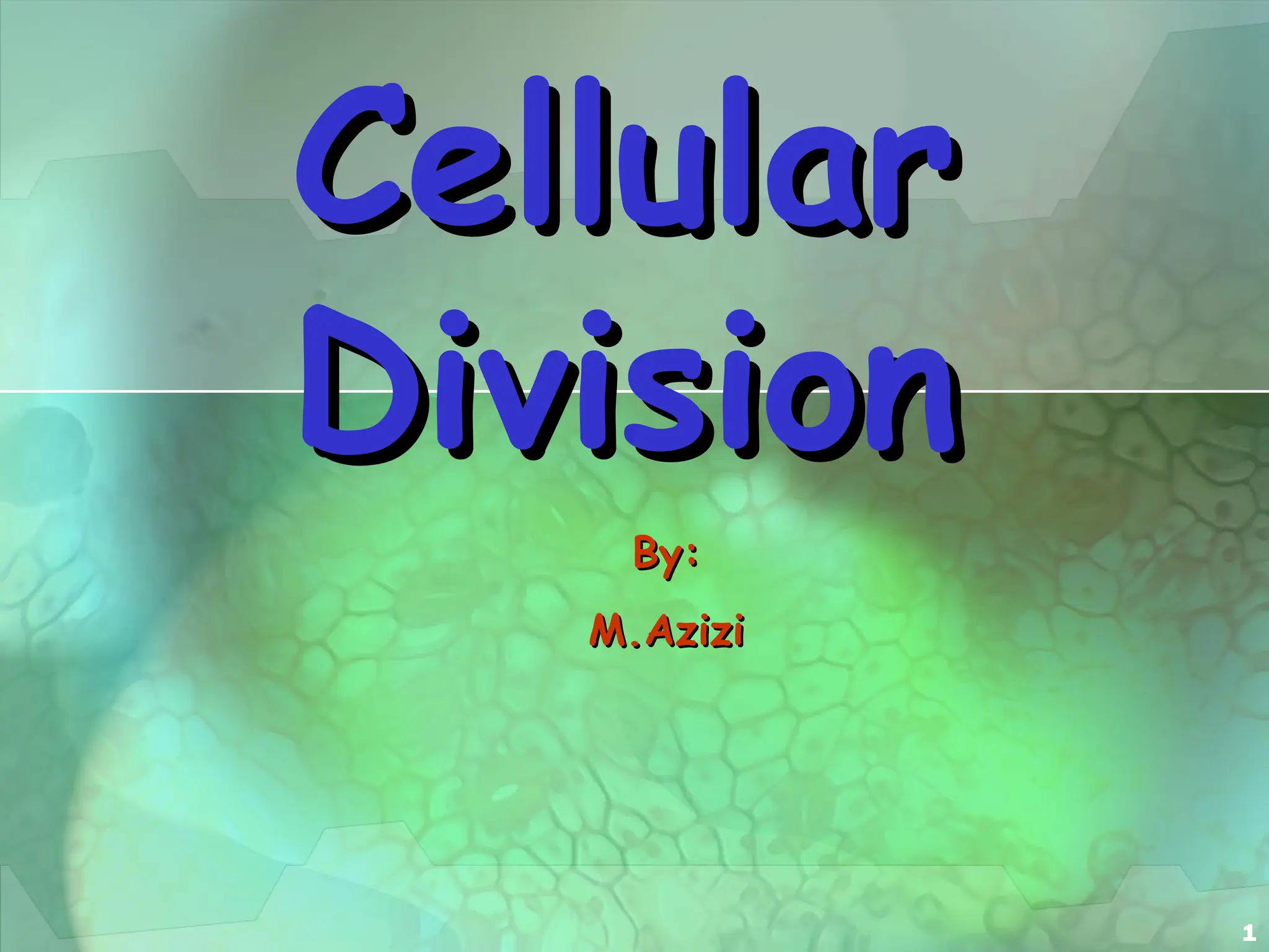 cell-cycle-mitosis-meiosis. for all cell | PPT