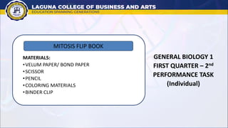 cell-cycle of mitosis and meiosis ll dna | PDF