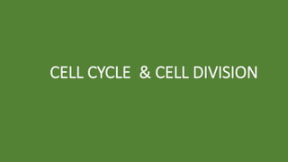 CELL-CYCLECELL-DIVISION-10.pptx.......... | PPTX