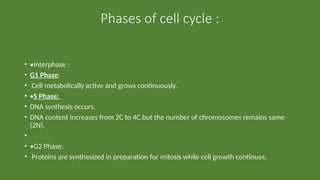 CELL-CYCLECELL-DIVISION-10.pptx.......... | PPTX