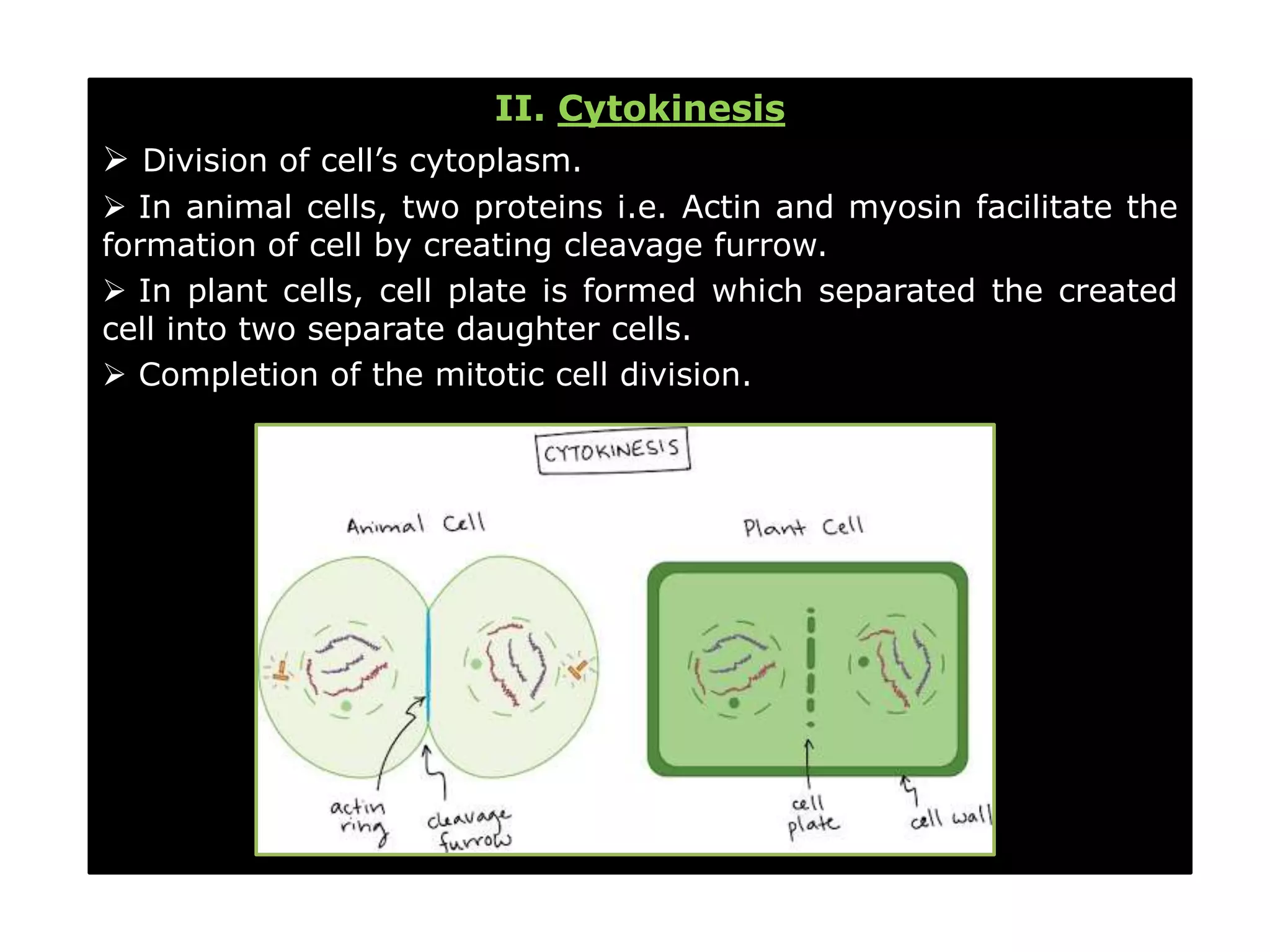 Cell cycle & division | PPTX
