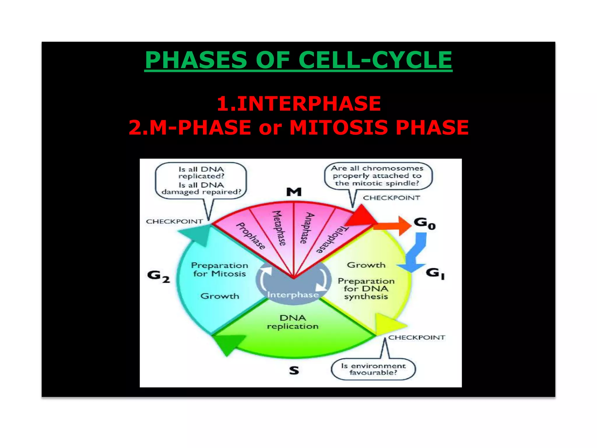 Cell cycle & division | PPTX