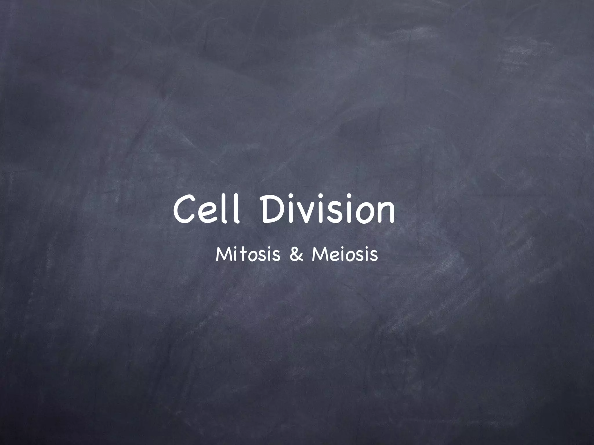 Cell Division | PPT