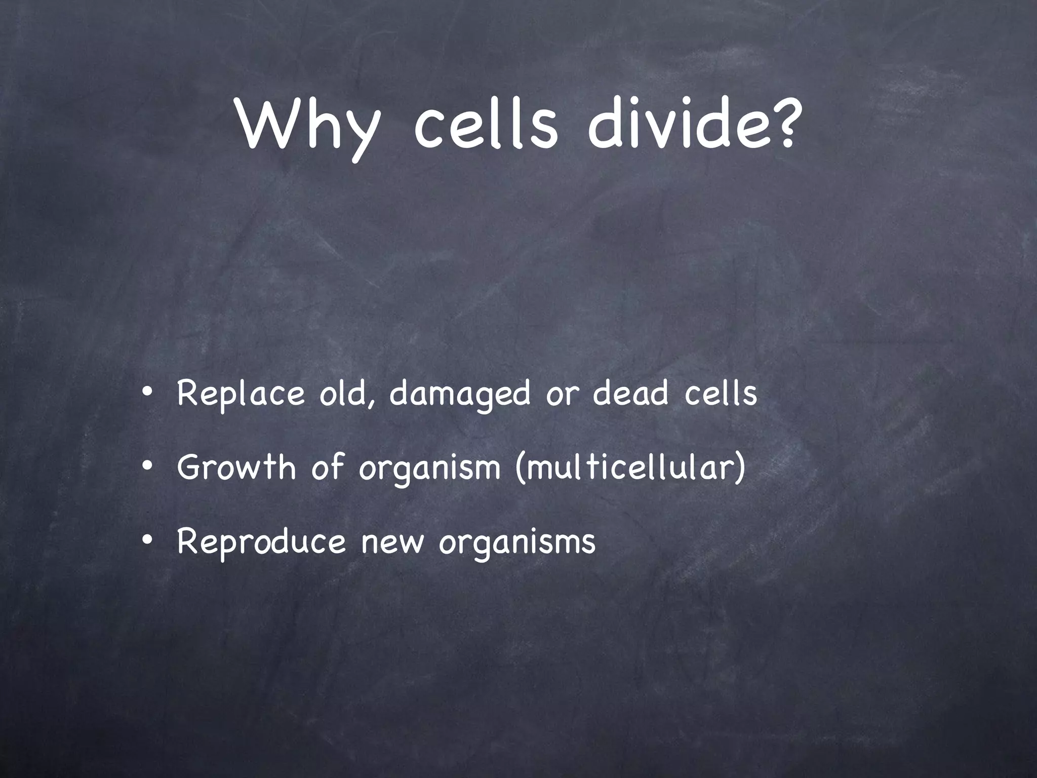 Cell Division | PPT