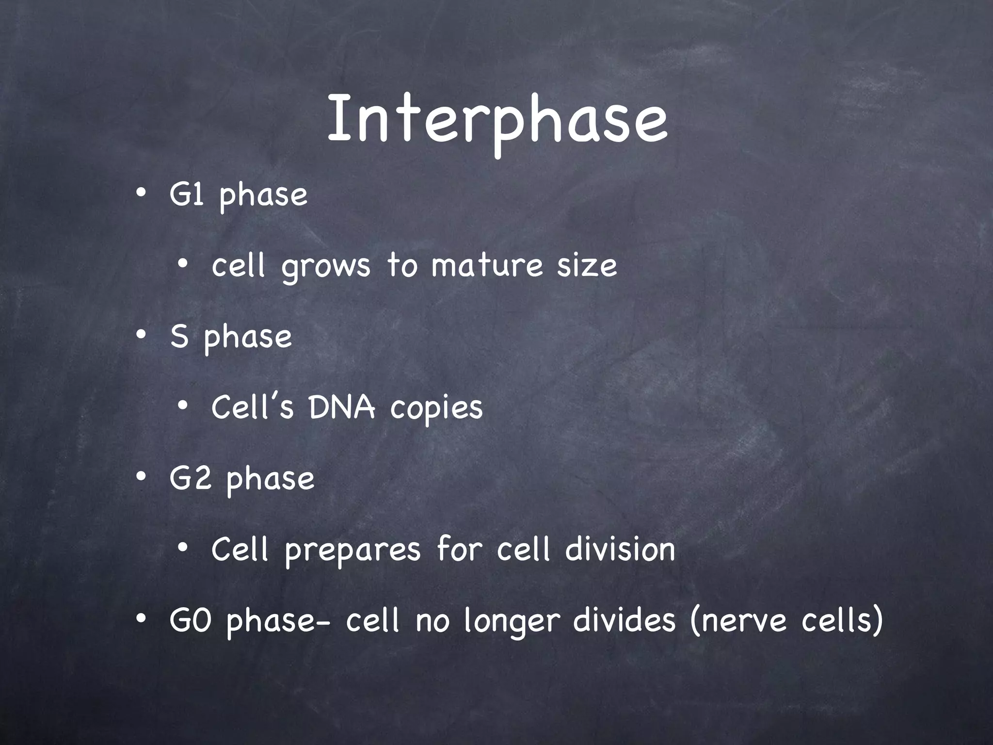 Cell Division | PPT