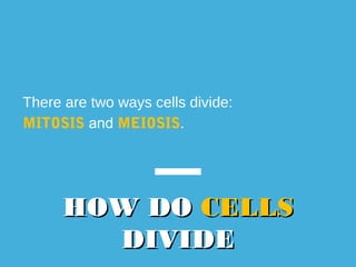Cell Division | PPT
