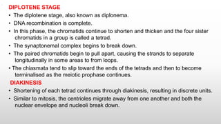 Cell-Division en animales y vegetales para uso animal | PPT