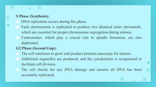 Cell division is the process by which cell divides | PPT