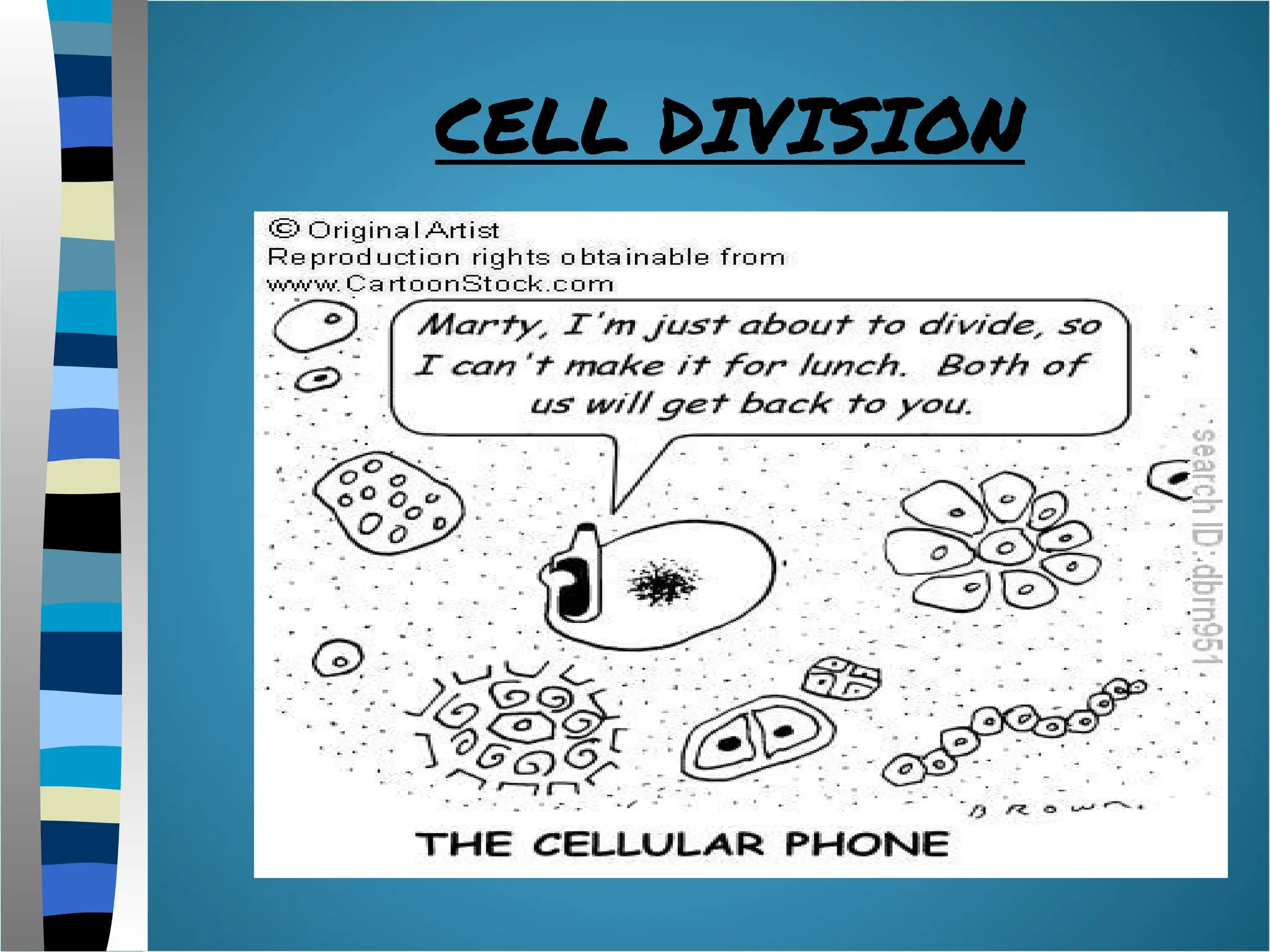 Cell-Division.ppt.pdf PowerPoint presentation | PDF